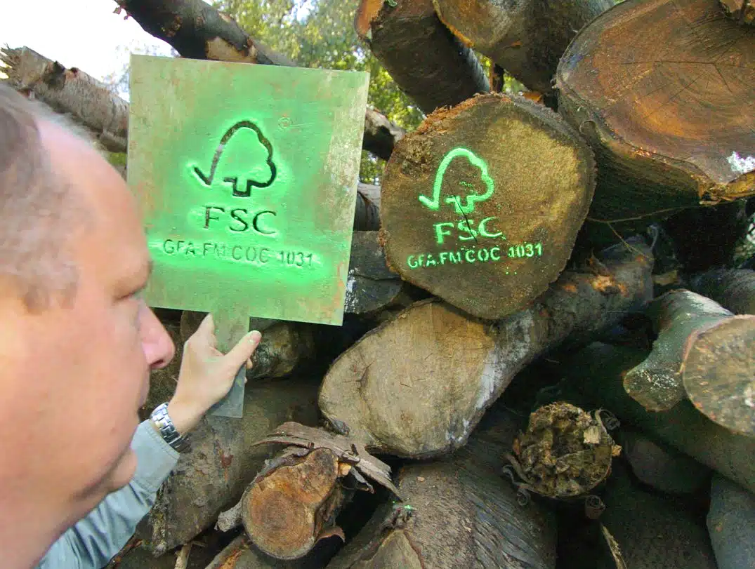 New Era: UN Specialist Takes Over as FSC Director-General | Wood Central